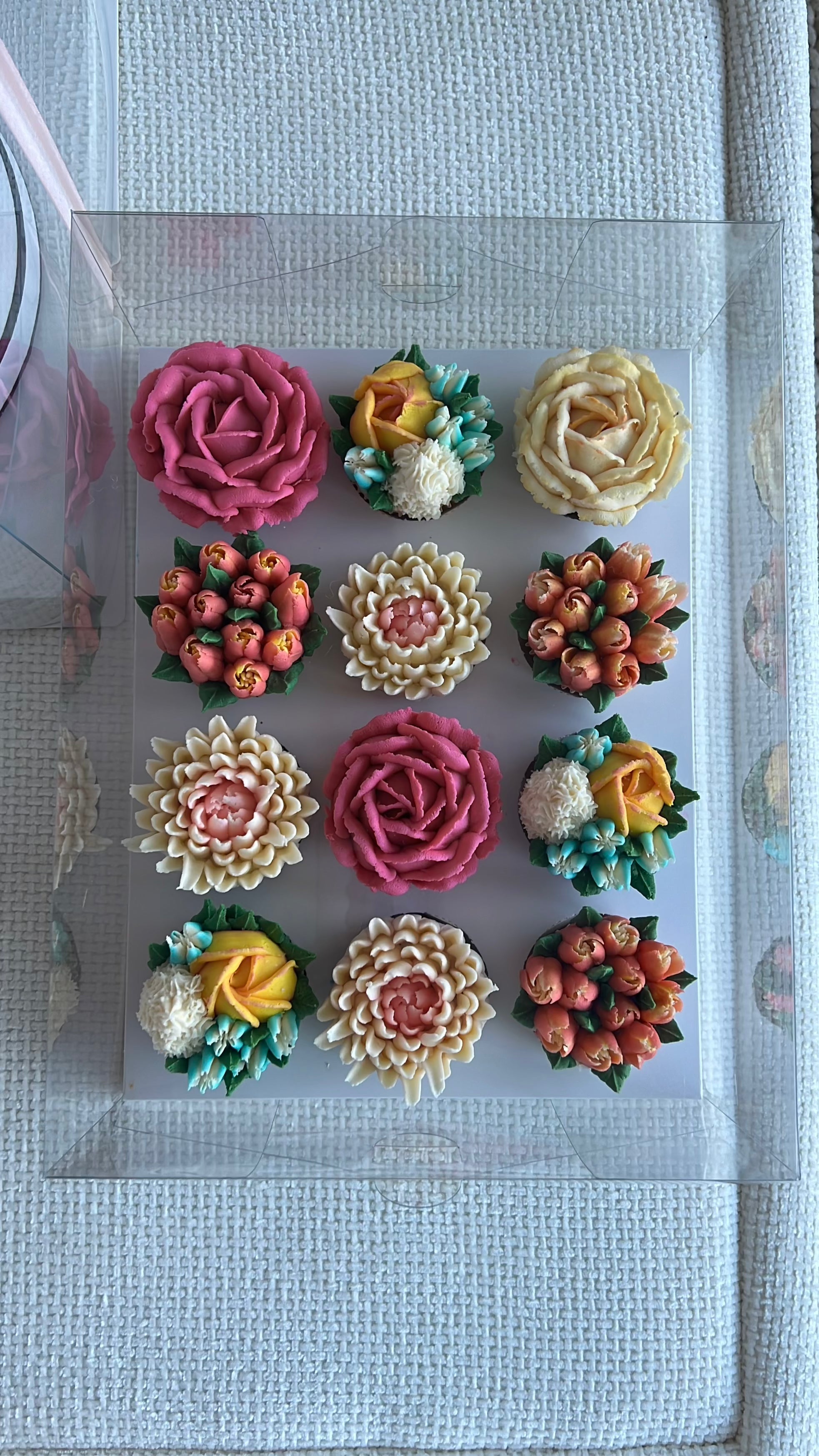 Classic Standard 12 Boxes – Cupcake Bazaar